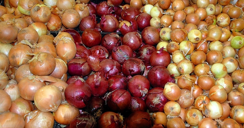 Da, contează ce tip de ceapă folosești! - Retete culinare - Romanesti ...